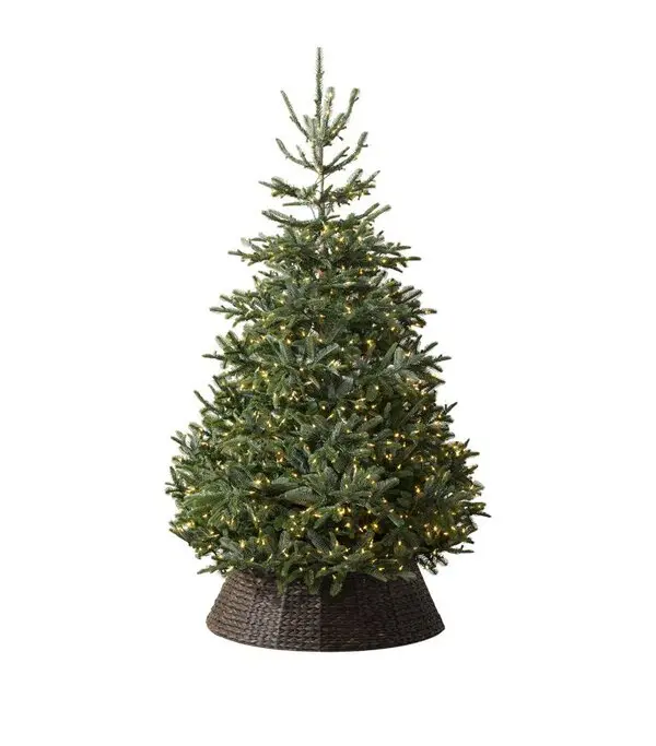 BALSAM HILL Nordmann Fir Flip Christmas Tree
