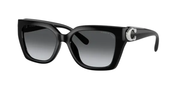 Coach Sunglasses - Grey Gradient Polar
