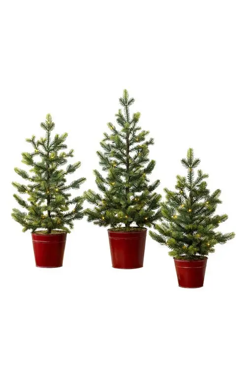 BALSAM HILL Lit Countryside Tabletop Trees