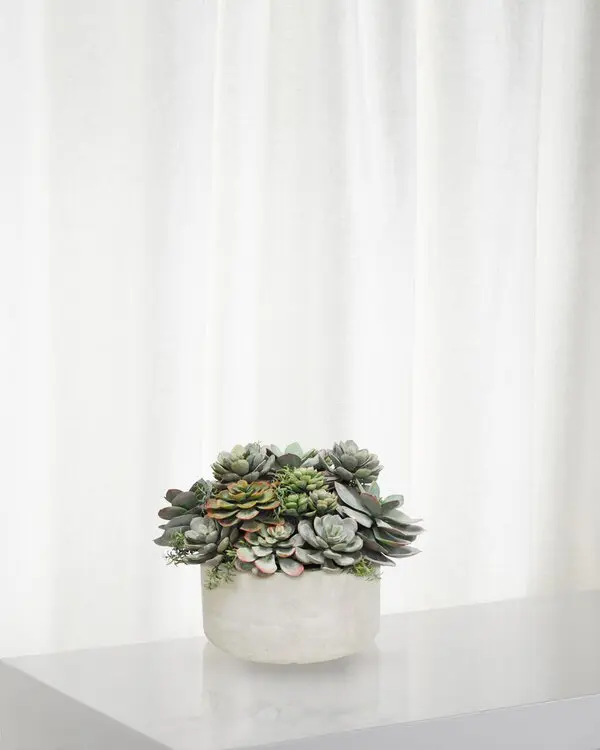 WINWARD HOME Mix Succulent In Garden Planter