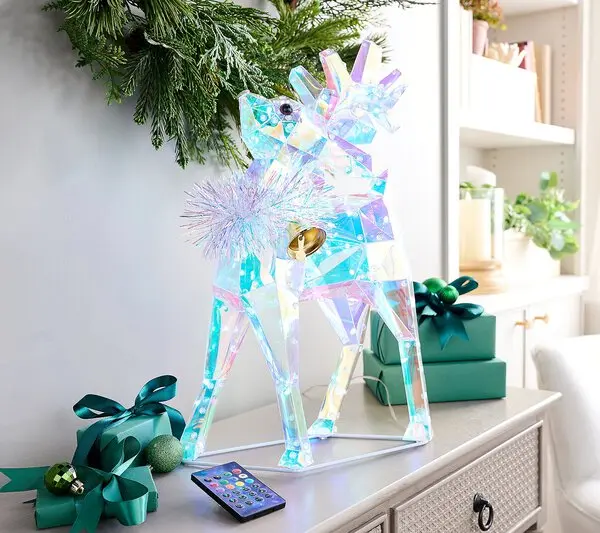 KRINGLE EXPRESS 18' In/outdoor Rgb Holographic Reindeer