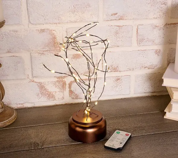BETHLEHEM LIGHTS Staggered Height Drop-in Fairy Lights W/remote