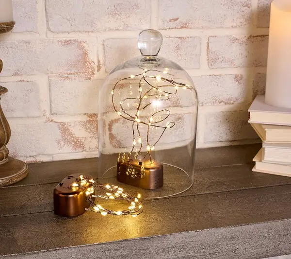 BETHLEHEM LIGHTS Set Of 2 Mini Drop In Fairy Lights W/remote