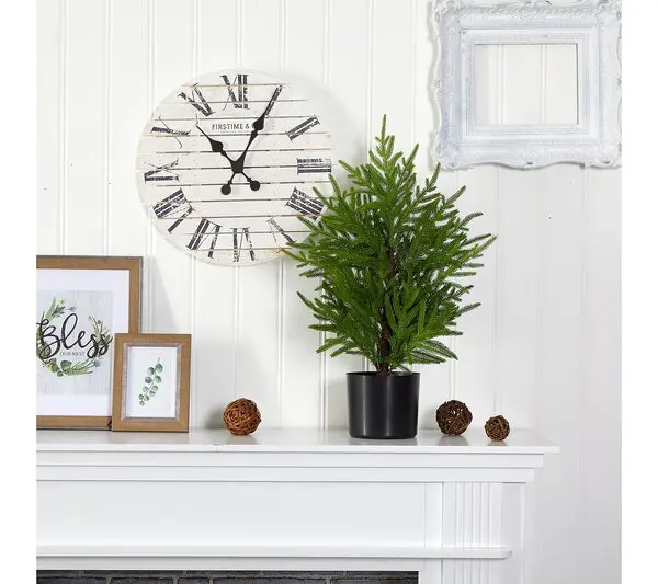 NEARLY NATURAL 2' Norfolk Island Pine 'natural Look' Tree