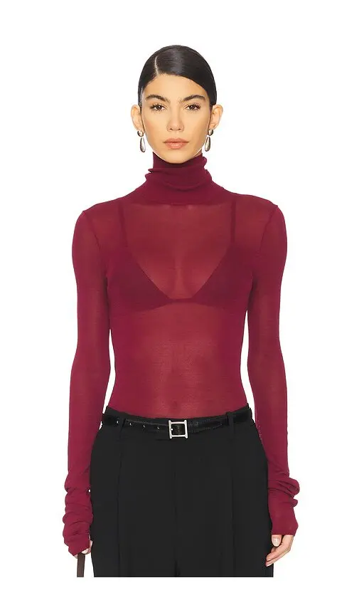 EAVES Sheer Turtleneck Sweater