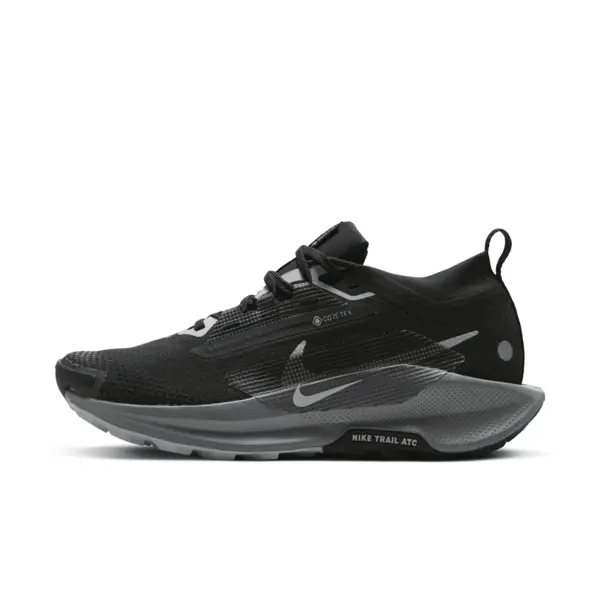 Nike Pegasus Trail Gore-tex Athletic Sneakers - Black