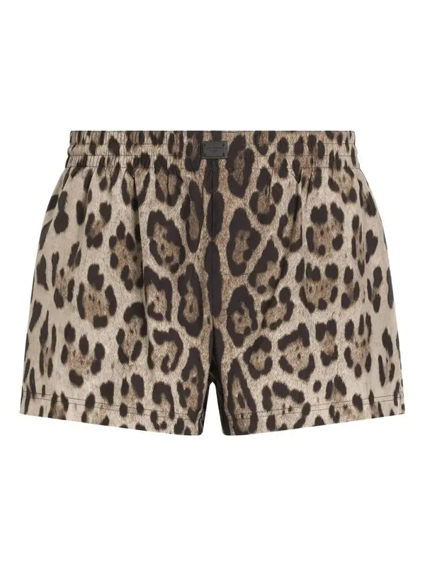 Dolce & Gabbana Leopard-print Swim Shorts - Neutrals