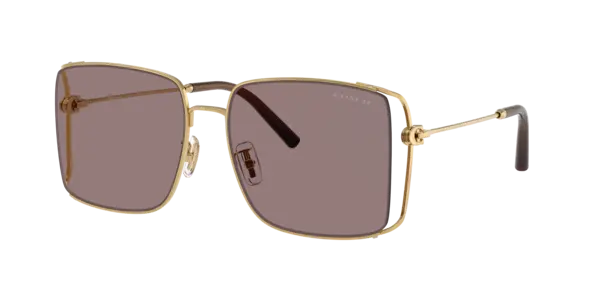 Coach Sunglasses