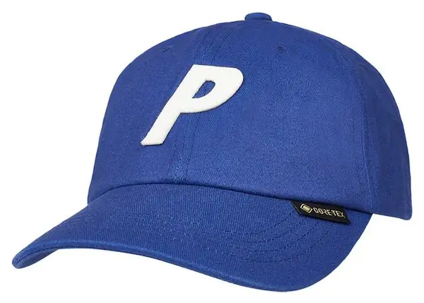 帽子 PALACE GORE-TEX Pigment P 6-Panel Buy Palace GORE-TEX Pigment P 6-Panel 'Black' - P25H118 | GOAT