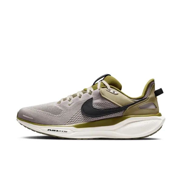 Nike Air Zoom Pegasus 41 Sp Shoes