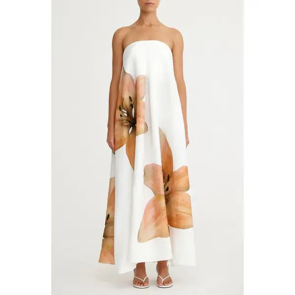 Significant Other Parisa Placed Floral Maxi Dress - Tigerlily