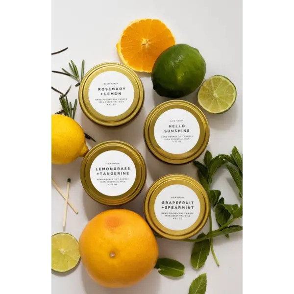 SLOW NORTH Fresh Collection4 Pack - No Color