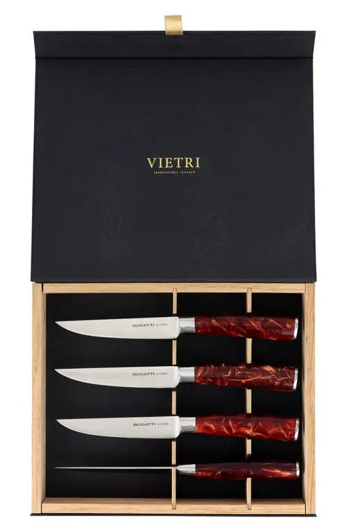 VIETRI Coltelli 4-piece Stainless Steel Steak Knife Set