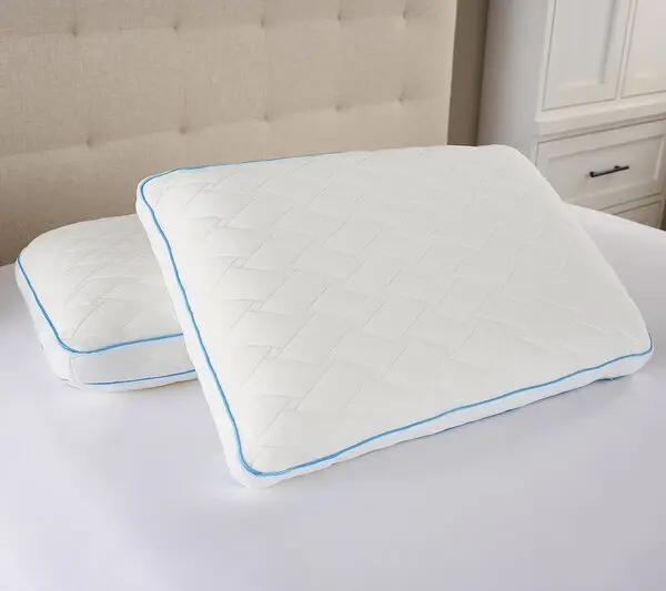 NORTHERN NIGHTS As Is Set Of 2 Cuddlfoam Pillows