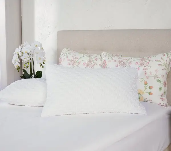 HOME REFLECTIONS As Is Set Of 2 Hybrid Foam & Down Altpillows