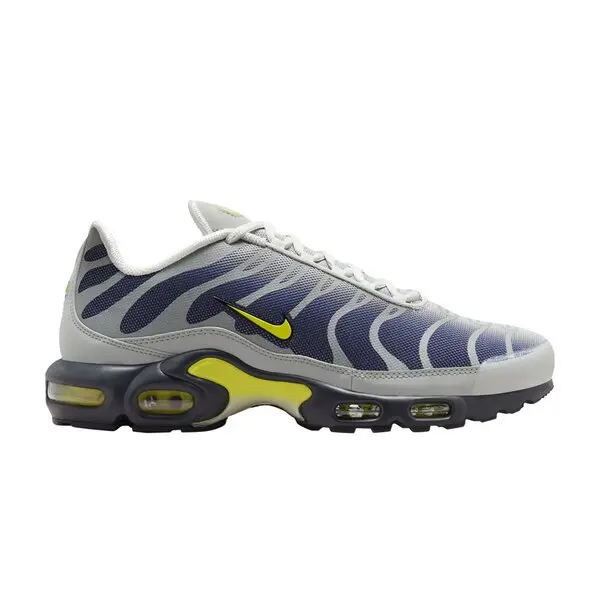 Nike Max Plus Sneakers - Blue