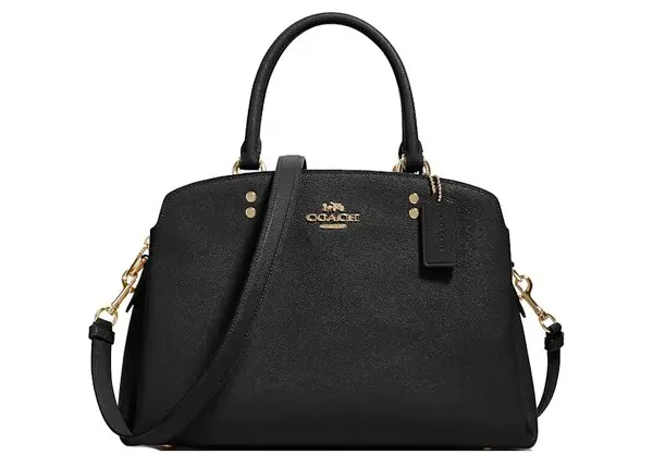 Coach Lillie Carryall