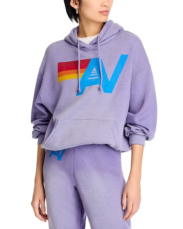 Aviator Nation Vintage Logo Pullover Hoodie - Faded Grape