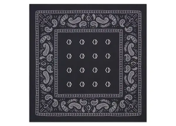 Dior X Cactus Jack Printed Bandana