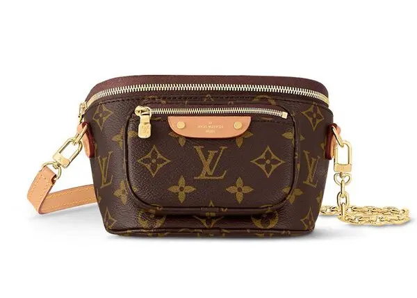 LOUIS VUITTON Mini Bumbag - Monogram