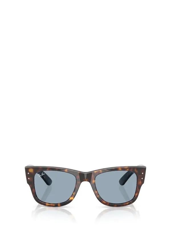 Ray-ban Sunglasses