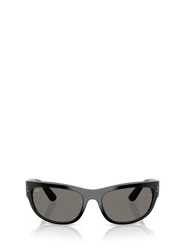 Ray-ban Sunglasses