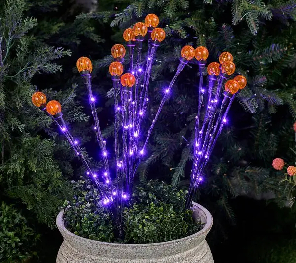 MARTHA STEWART As Is Set/3 In/outdoor Globe Light Branches