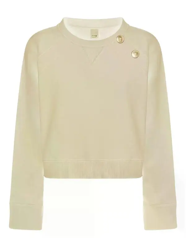 Pinko Crew-neck Cotton Sweater - Neutrals