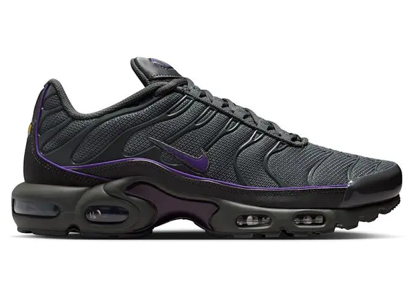 Nike Air Max Plus Og