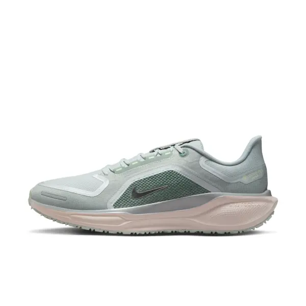 Nike Pegasus 41 Gore-tex Waterproof Road Running Shoes