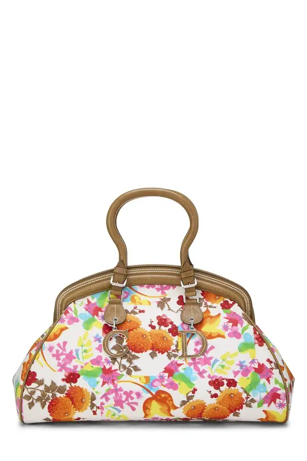 Dior Multicolor Trotter Canvas Floral Frame Satchel