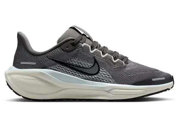 Nike Air Zoom Pegasus 41 Black