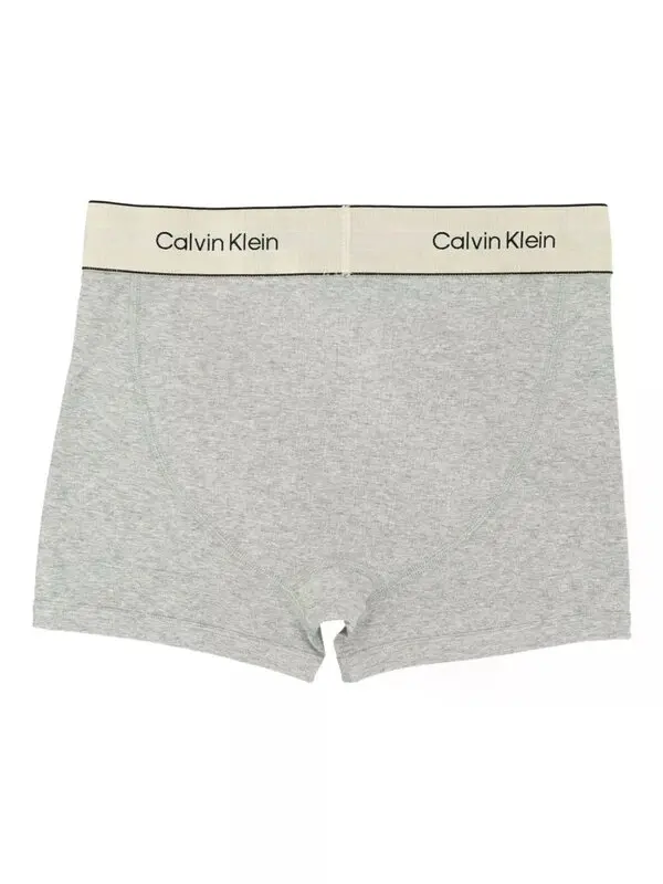 Calvin Klein Logo-print Briefs