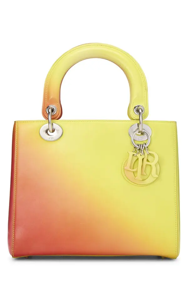 Dior Lady Ombre Calfskin Handbag - Multi