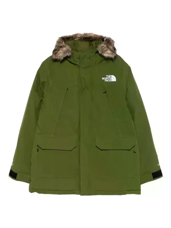 The North Face Hooded Jacket In Green | Editorialist