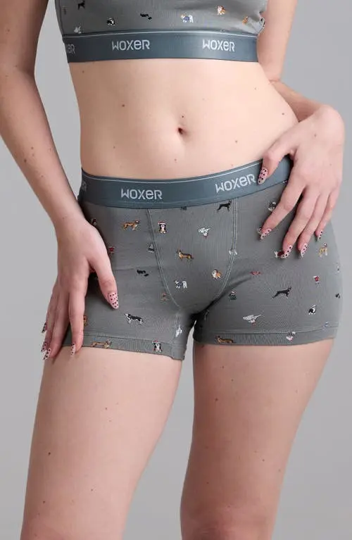 WOXER Star Candy Boxer Briefs - Sage Pups