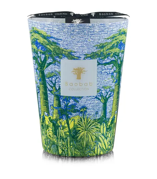 BAOBAB COLLECTION Sacred Trees Yarani Candle