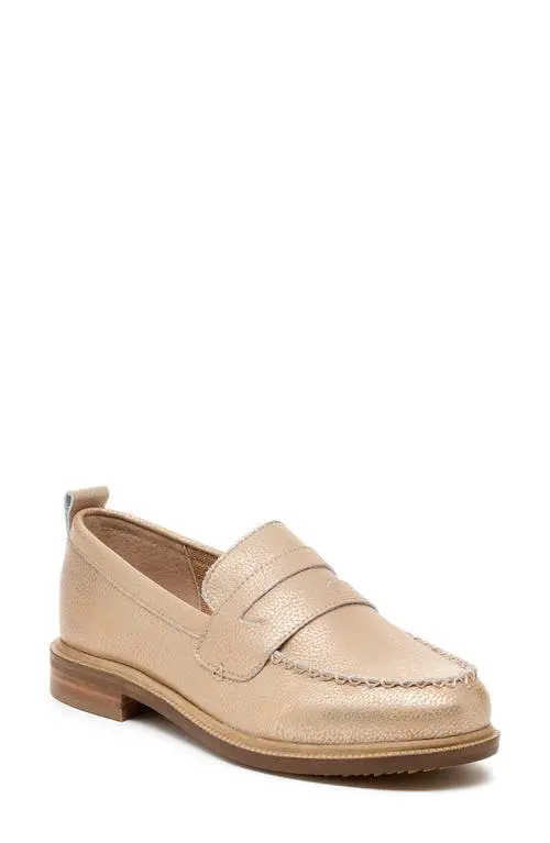 KELSI DAGGER BROOKLYN Lens Penny Loafer - Chai