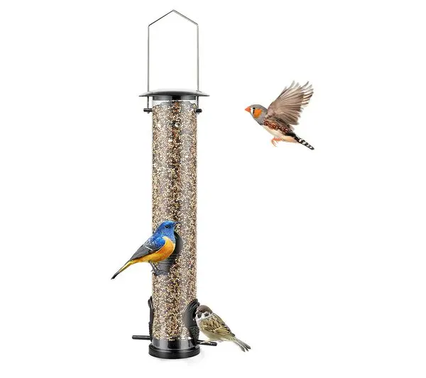 BACKYARD EXPRESSIONS Tube Hanging Bird Feeder 4 Port