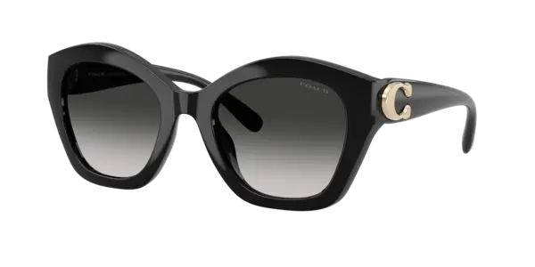 Coach Sunglasses - Grey Gradient