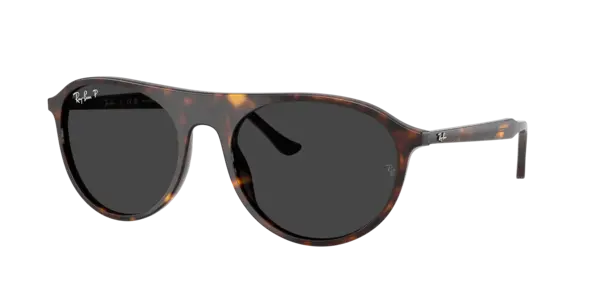 Ray-ban Havana Frame Sunglasses - Polar Black