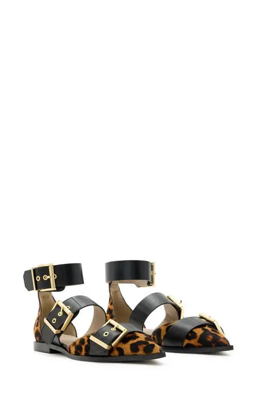 All Saints Sutton Ankle Strap Pointed Toe Flat - Leopard Brown / Black