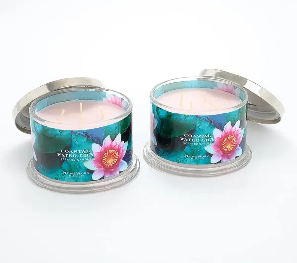 HOMEWORX BY SLATKIN + CO. As Is S/2 18oz Candles-coastal