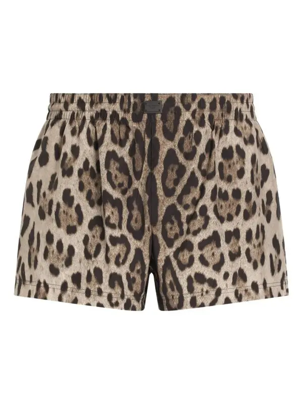 Dolce & Gabbana Leopard-print Shorts - Neutrals