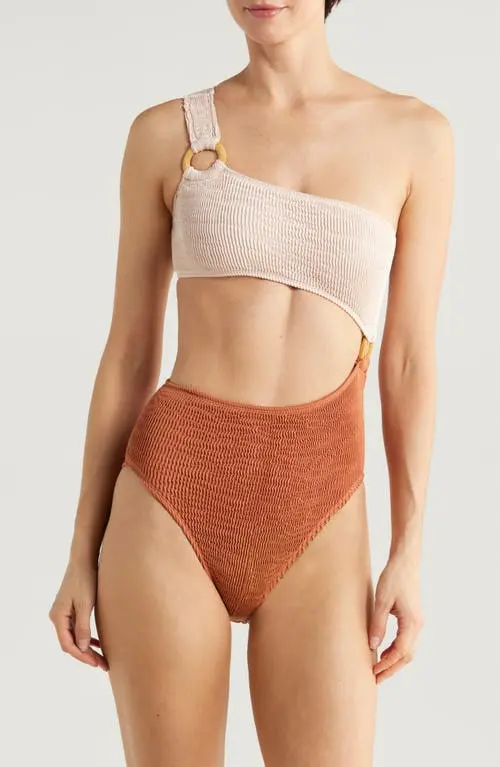 CLEONIE Shell Colorblock One-piece Swimsuit - Espresso Shell