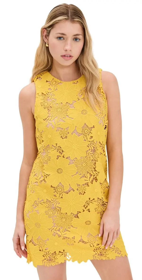 Le Superbe Shifter Mini Dress