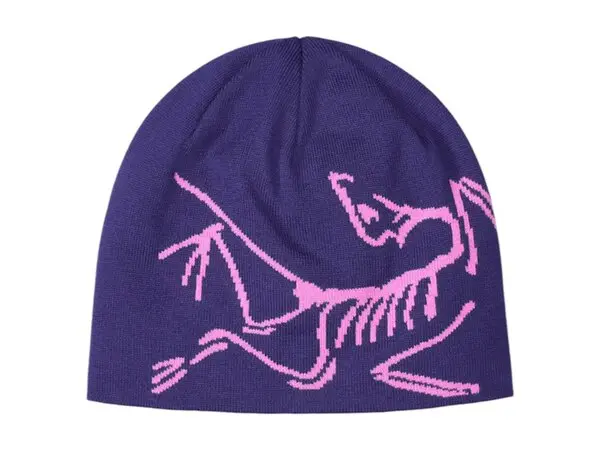 Arc'teryx Lightweight Bird Head Toque Beanie - Soulsonic/alpen