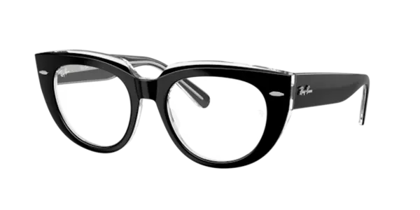 Ray-ban Doreen Eyeglasses - Black On Transparent