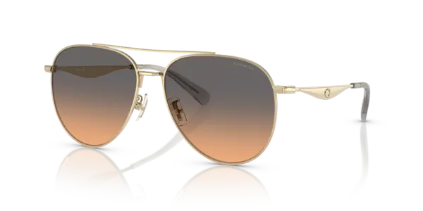 Coach Hc7169 Sunglasses - Shiny Light Gold