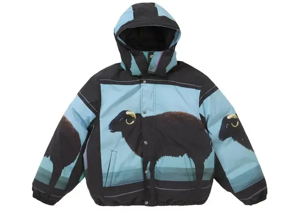 Supreme Damien Hirst Down Puffer Jacket - Black